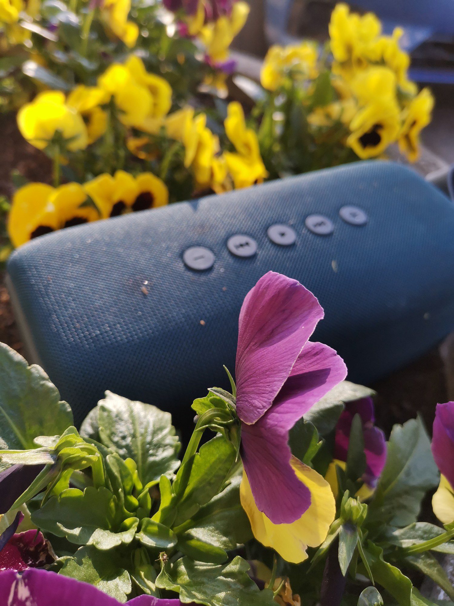 Głośnik Fresh N Rebel Rockbox Bold L. Recenzja w kolorze indygo – Geex