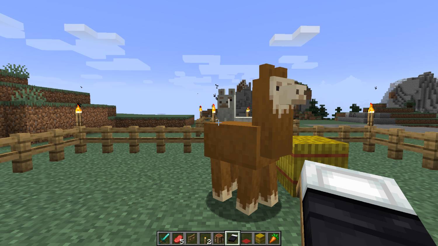 Co jedzą zwierzęta w Minecrafcie? Stwórz swoją farmę – Geex