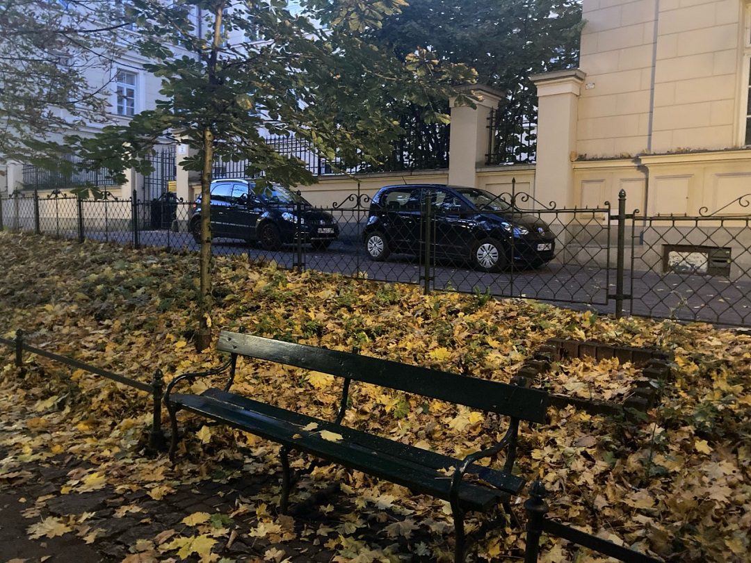 Jak przetrwać jesień? Poradnik dla jesieniarzy – Geex