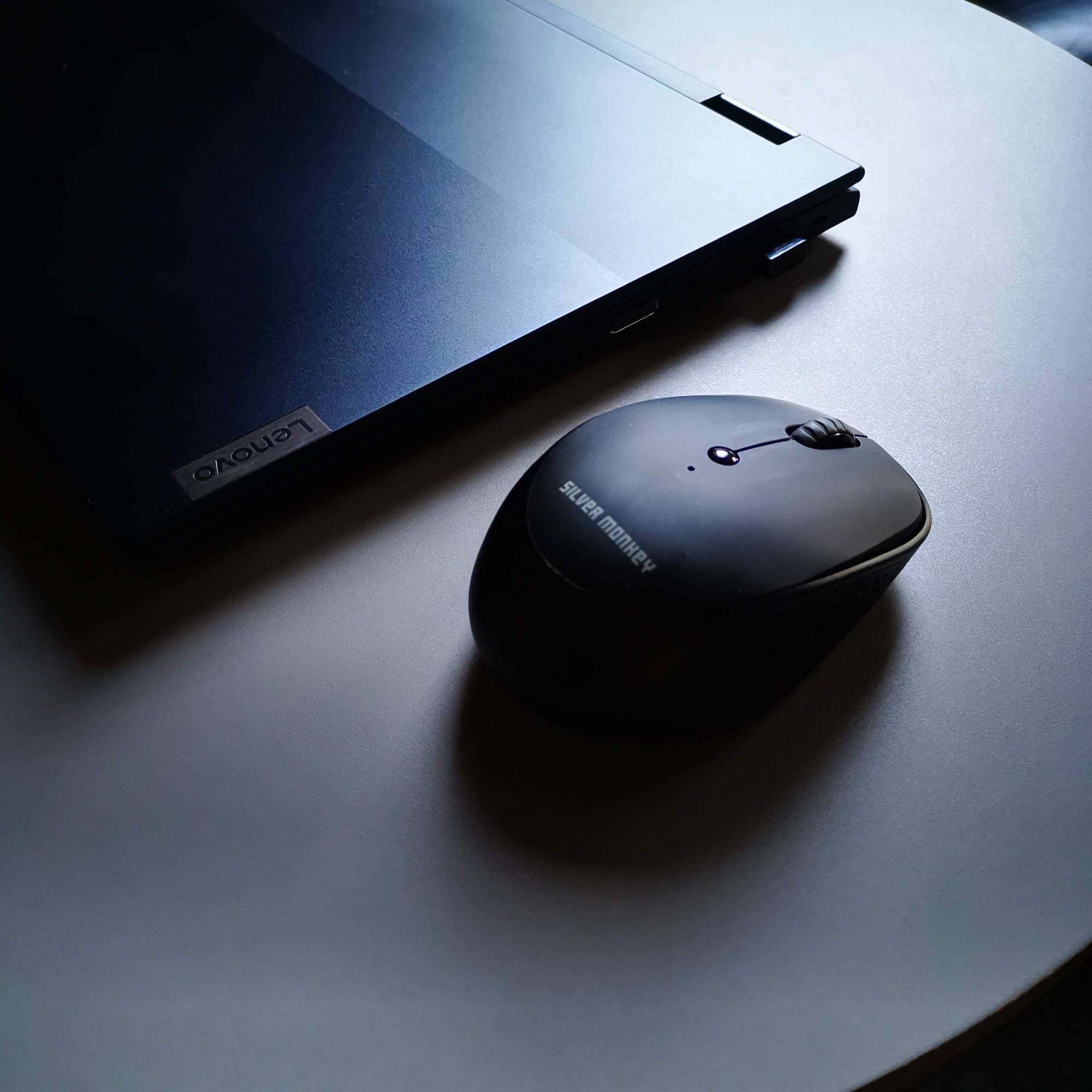 Recenzja myszy Silver Monkey M90 Silent - Geex